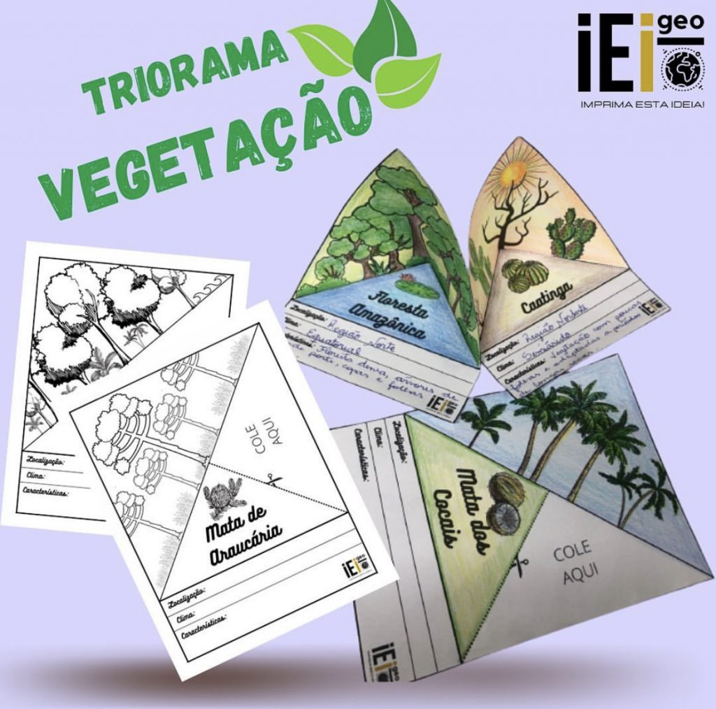 Trioramas Vegetações do Brasil - Imprima esta Ideia